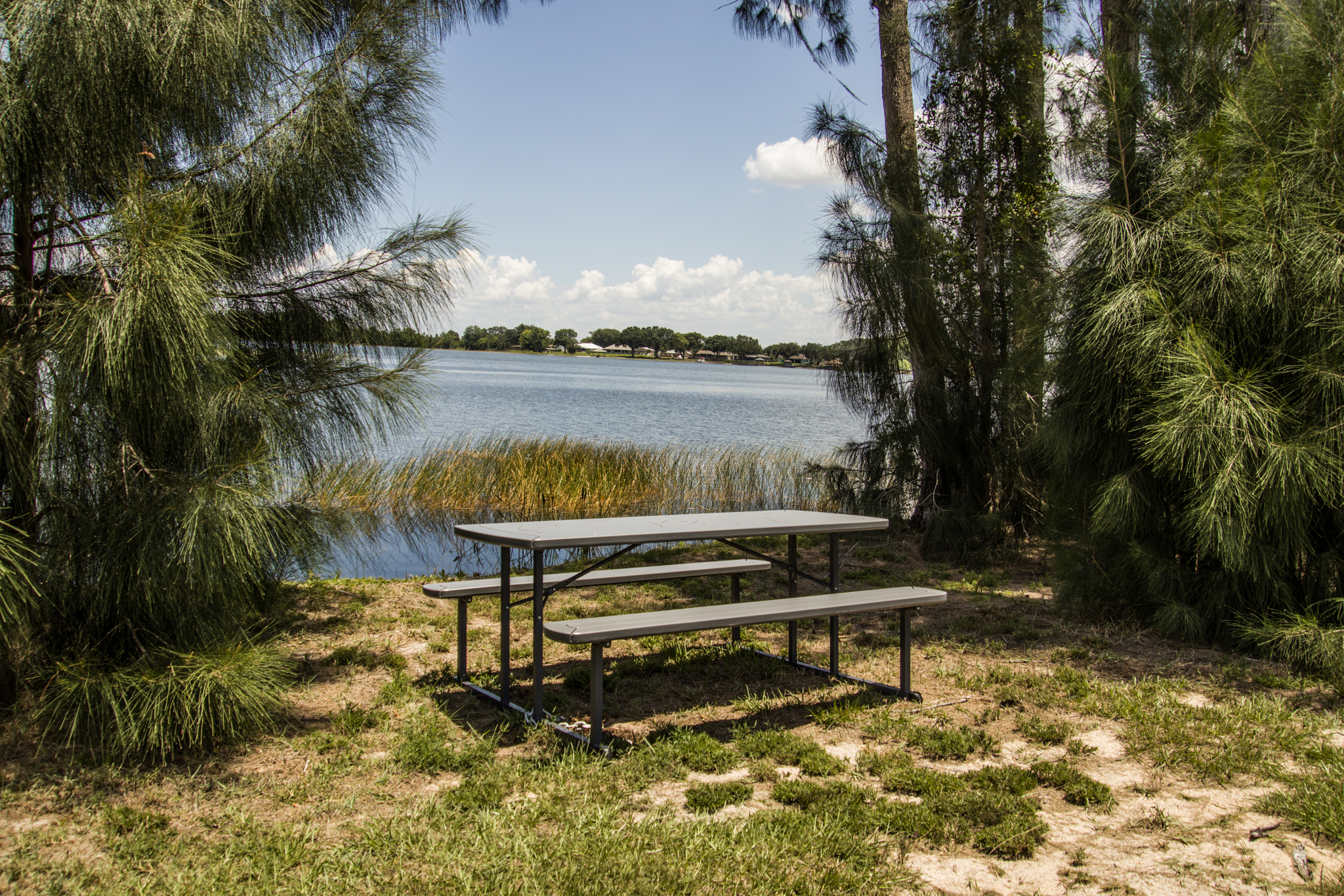 New Picnic Tables and a Burn Ban – Welcome to Camp Florida POA Lake ...